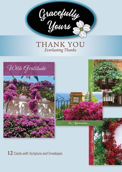 Collections – Gracefully Yours